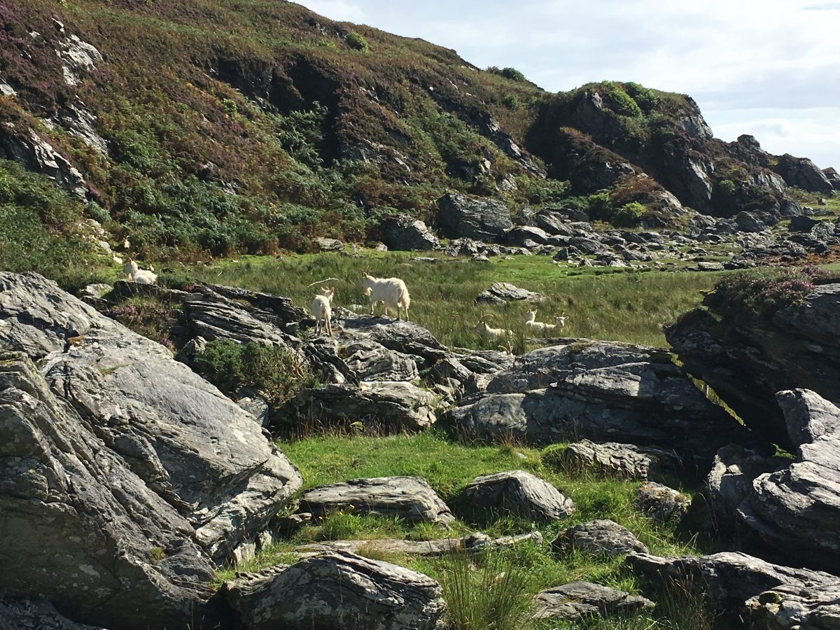 Carradale Coastal Walk - Taking the Long Way Home
